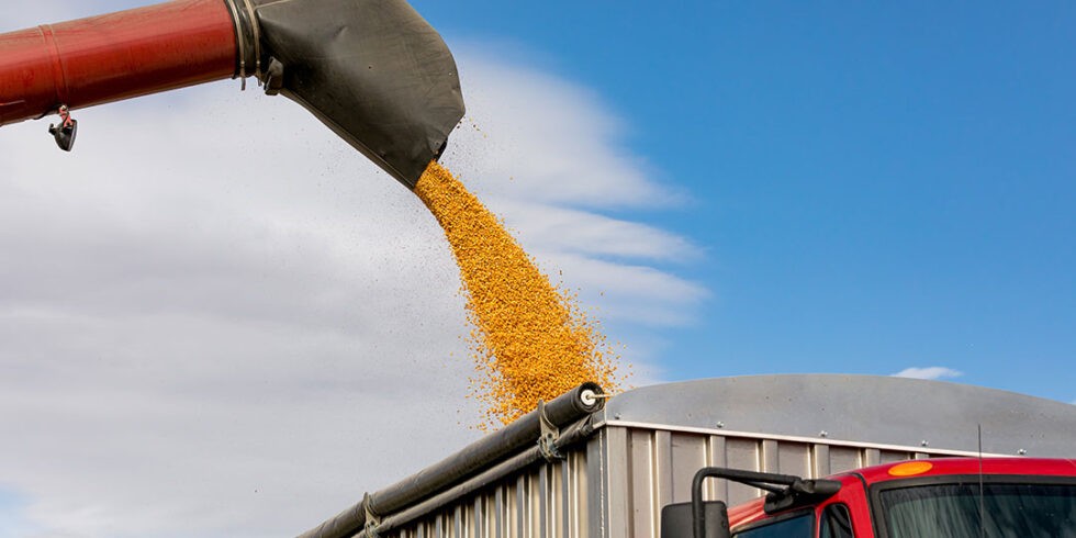 Grain Transportation | Agricultural Services | Tuscarora Grain Company